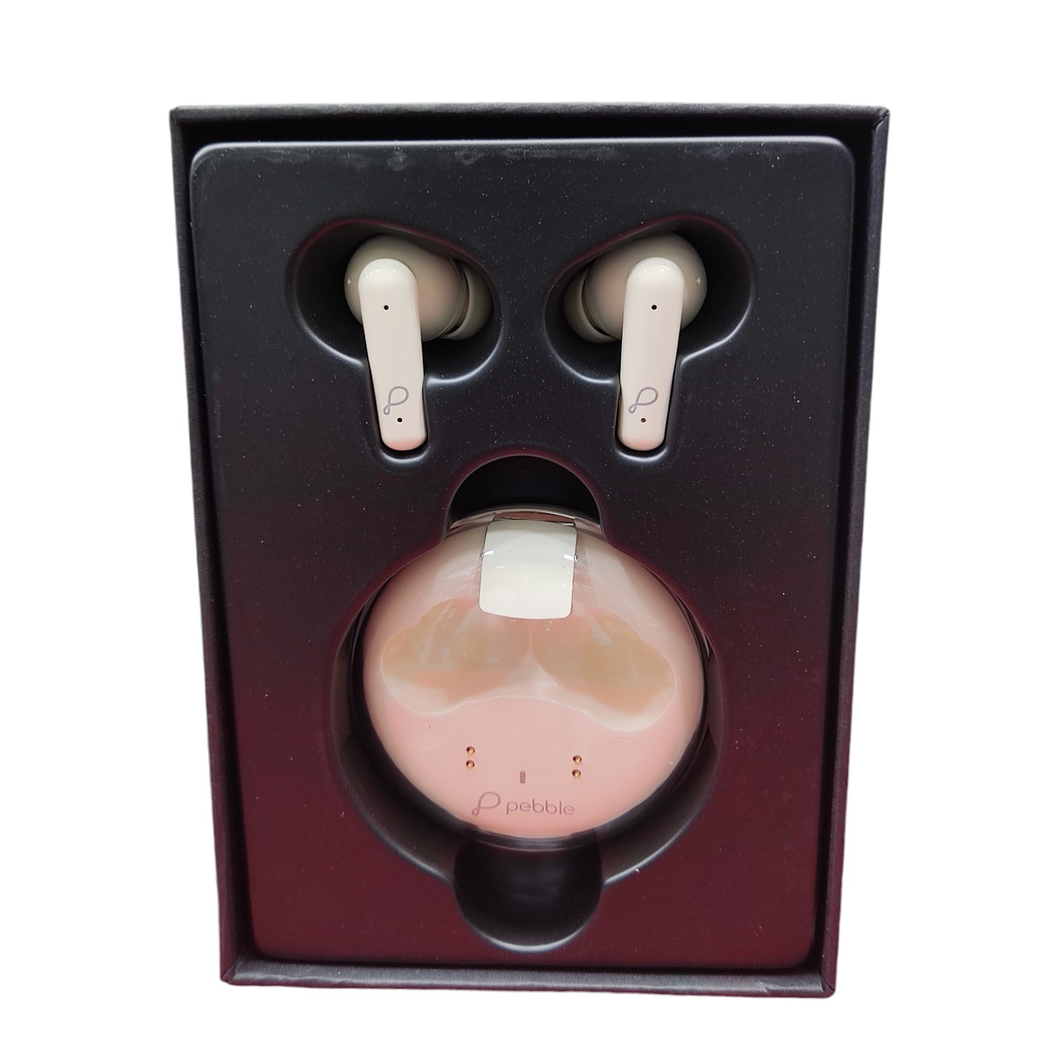 Pebble TRUBUDS True Wireless Earpods | ENC with Dual Mic | Just making ...