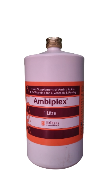 Ambiplex - Feed Supplement of Amino Acids & B-Vitamin for Livestock ...