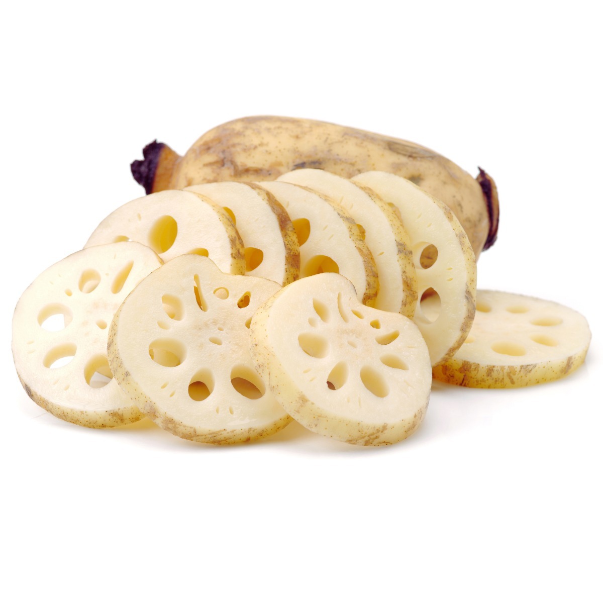 Lotus Root