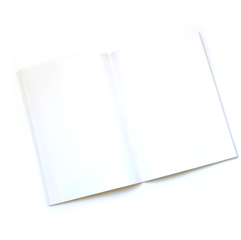 Classmate Small Notebook - Unruled, 172 Pages ( 19 X 15.5 cm)