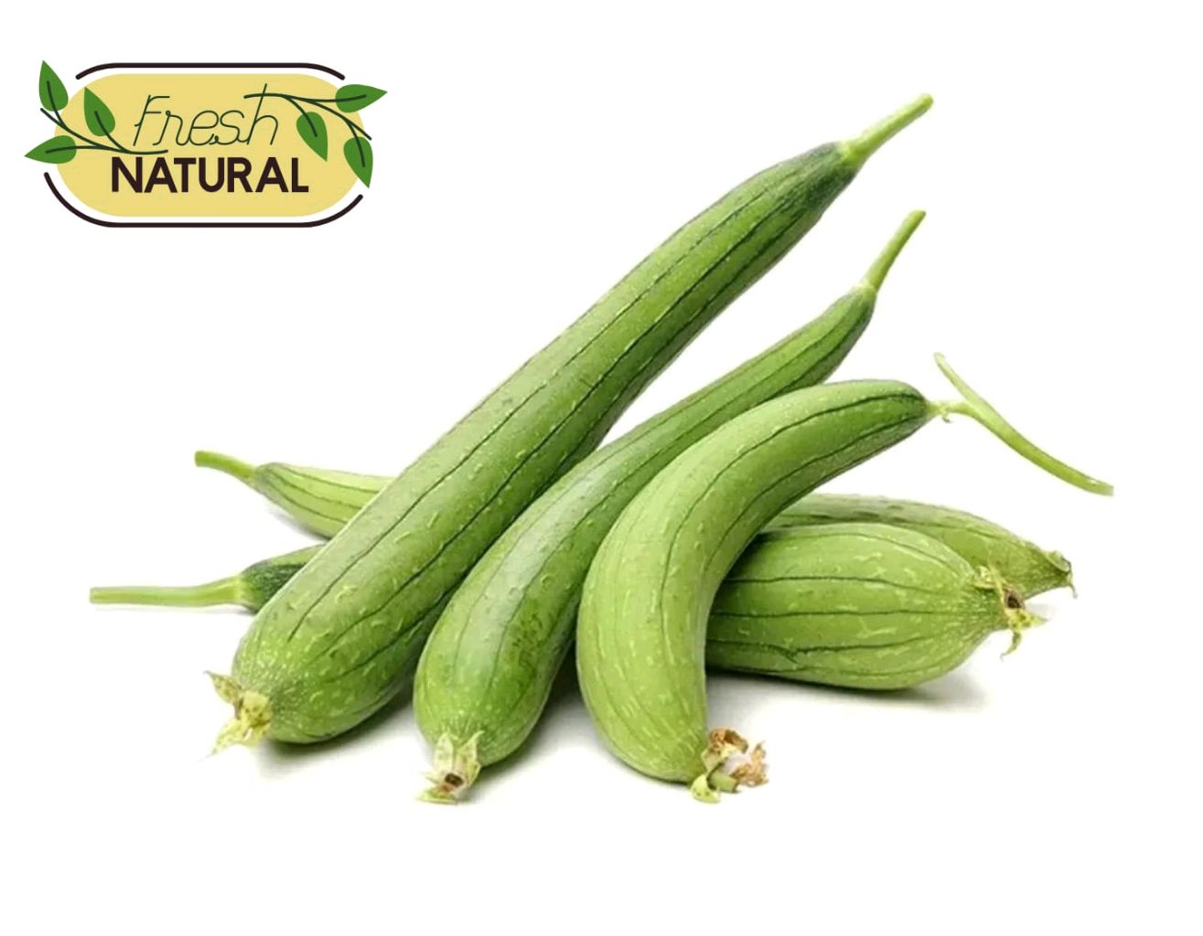 Sponge Gourd (Turai - तुरई)