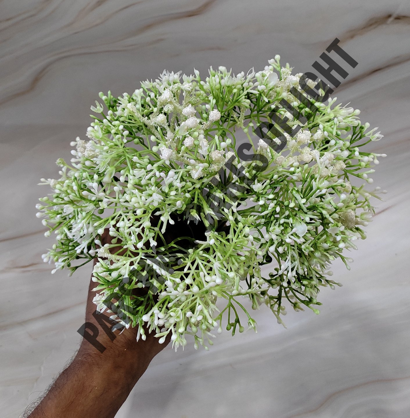 IMPORTED GYPSY BUNCH