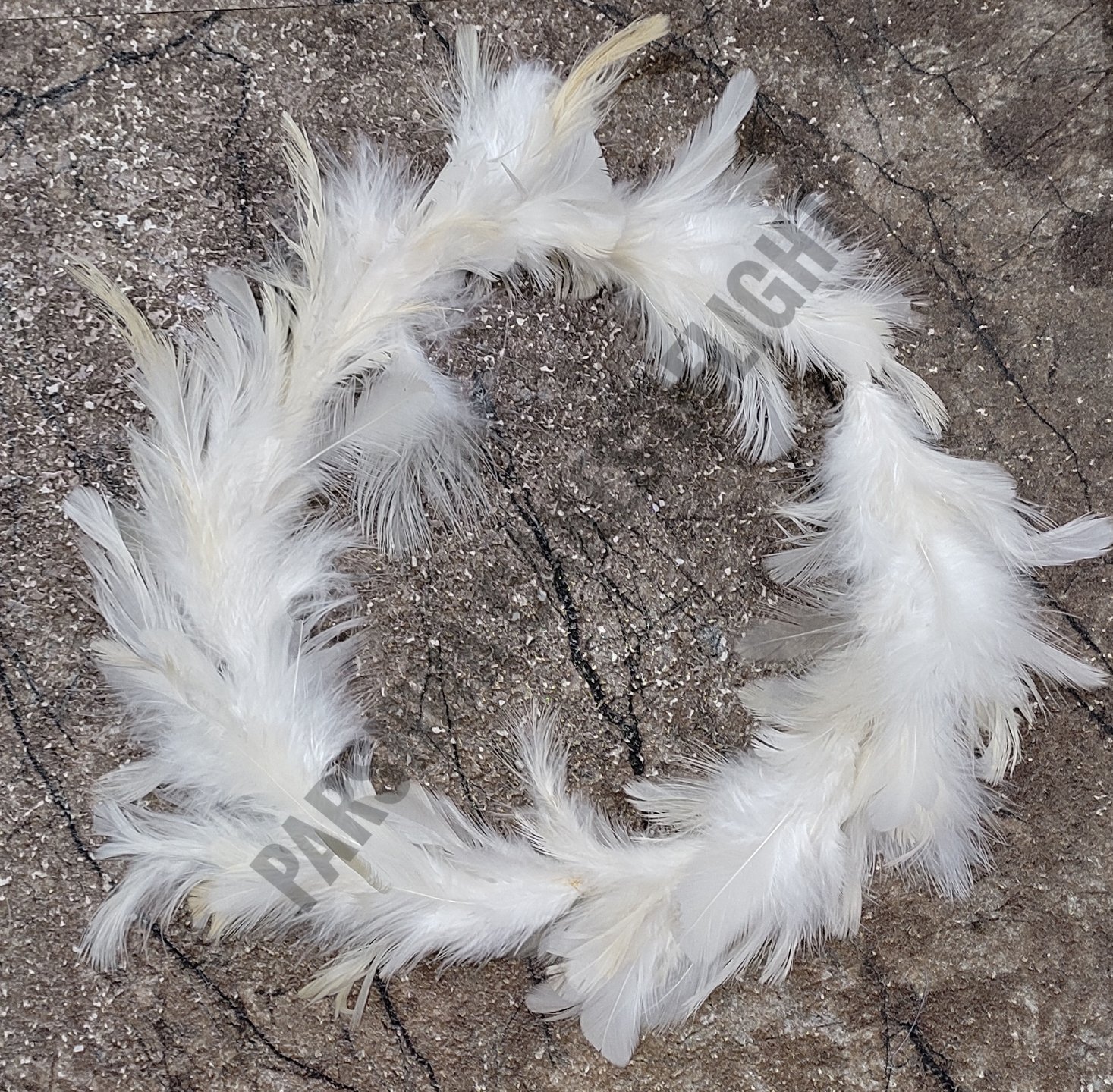 CIRCLE FEATHER
