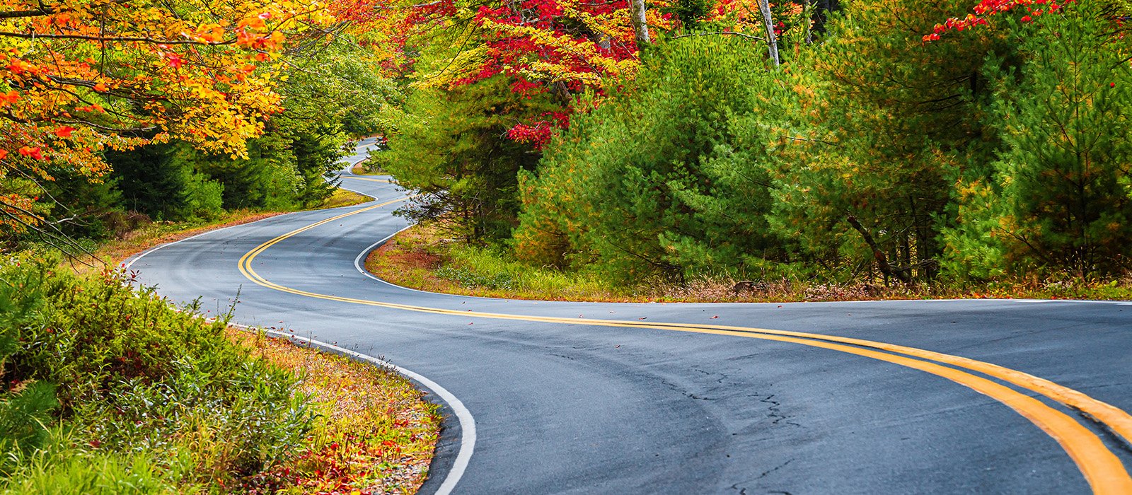 How a Passion for People Turned into a Career in Tech