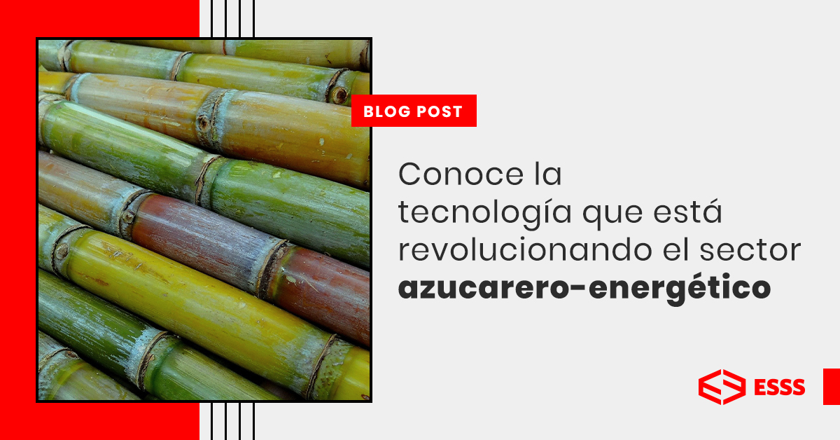 Conoce la tecnología que está revolucionando el sector azucarero-energético