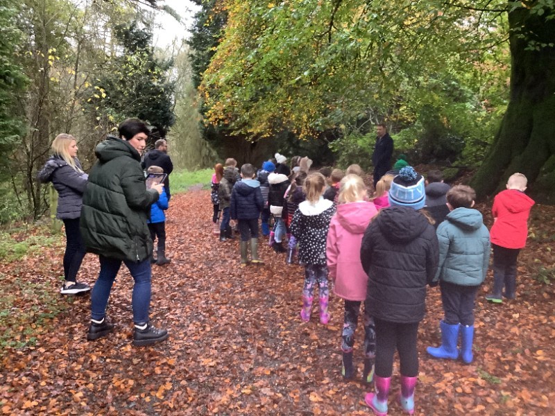 Primary 3 Woodland Well-being Trip to Parkanaur Primary 3 Woodland Well-being Trip to Parkanaur