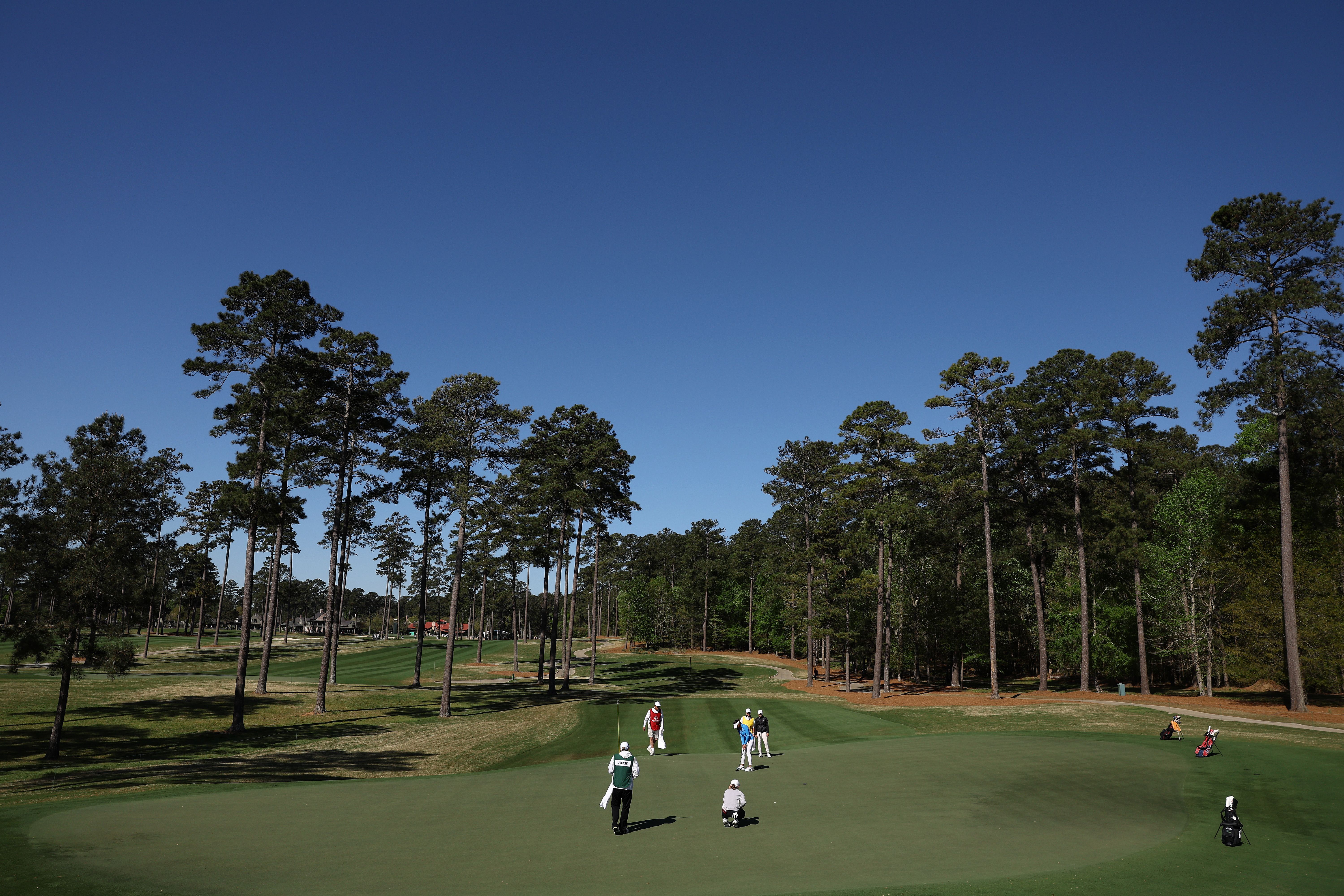 Tee Sheet: Behind the ANWA Broccoli Tree Lore