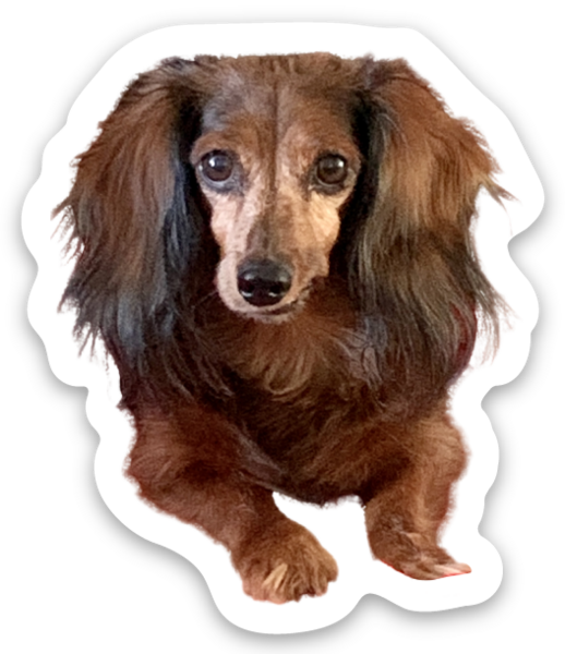 Trina stickers 2022 by Lily B | Die cut stickers | Sticker Mule