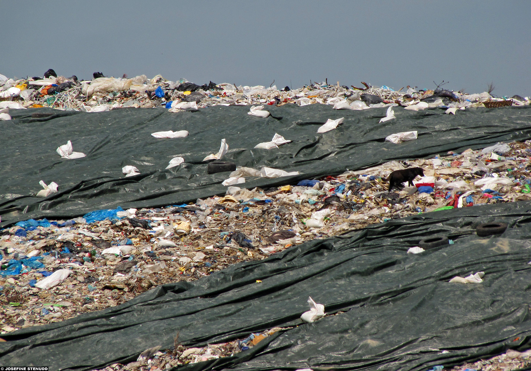 Fortsetter å drive ulovlig deponi - Avfallsbransjen.no