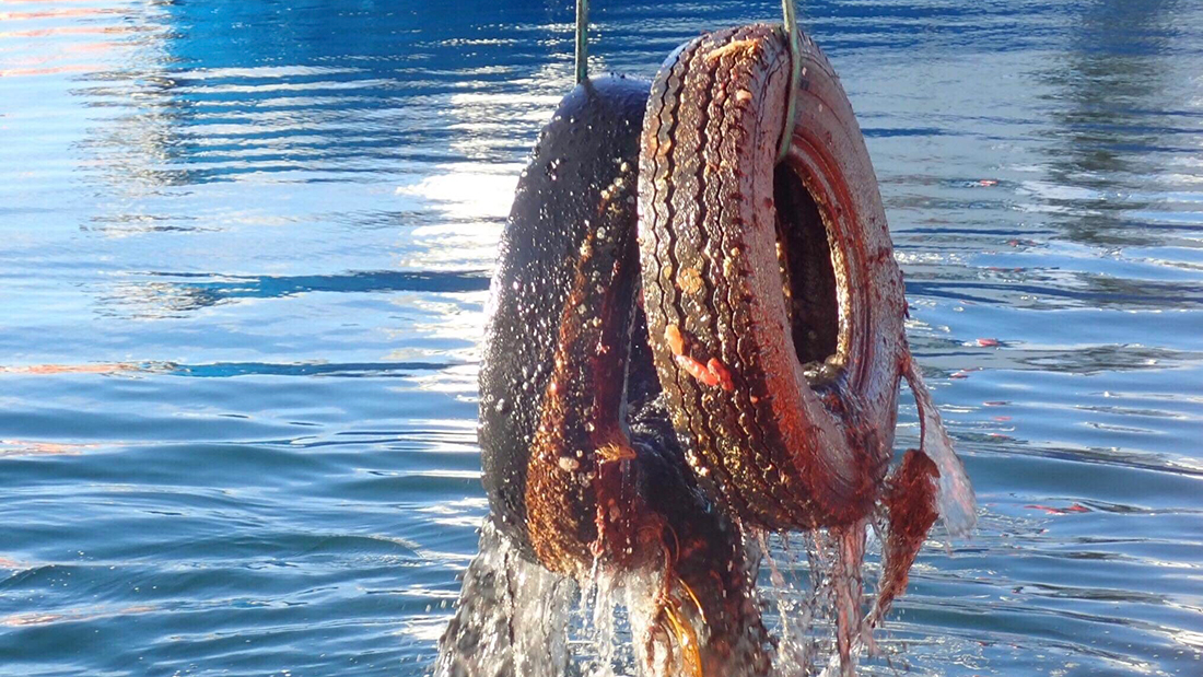 Norsk oppfinnelse skal forhindre marin forsøpling - Cnytt.no