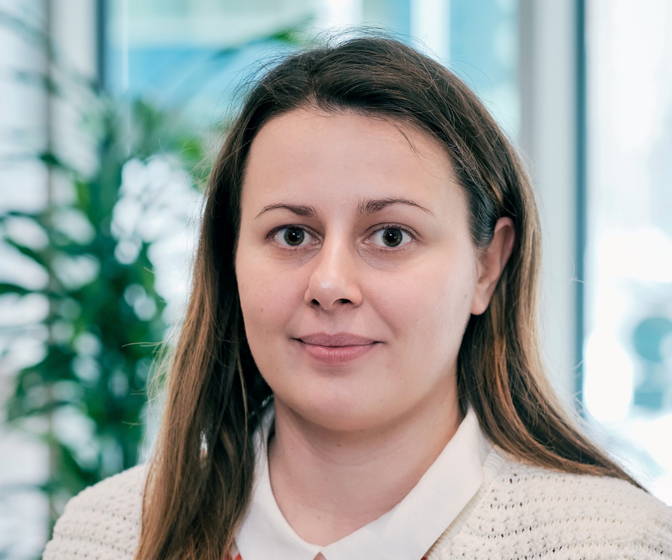 Den nordiske modellen er et eksempel for resten av Europa ...