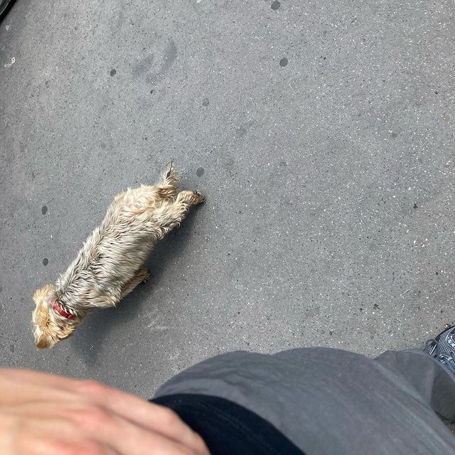 Saunders instagram | Premier Model Management