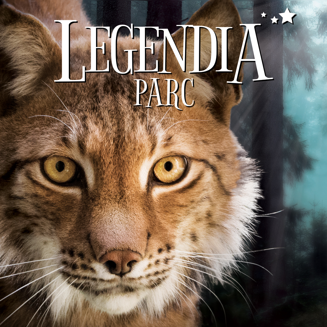 Legendia Parc : L’émotion commence maintenant – Social CSE