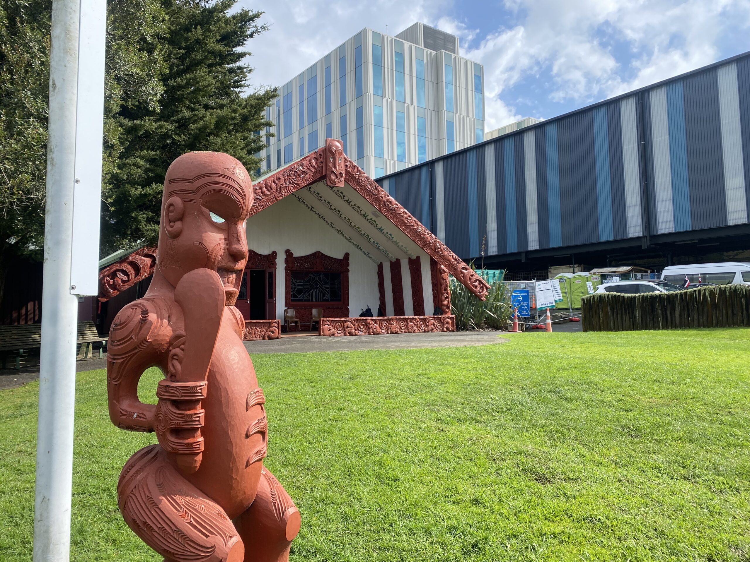 Unity and Action at Waipapa Marae: Māori Activists Gather for Change ...