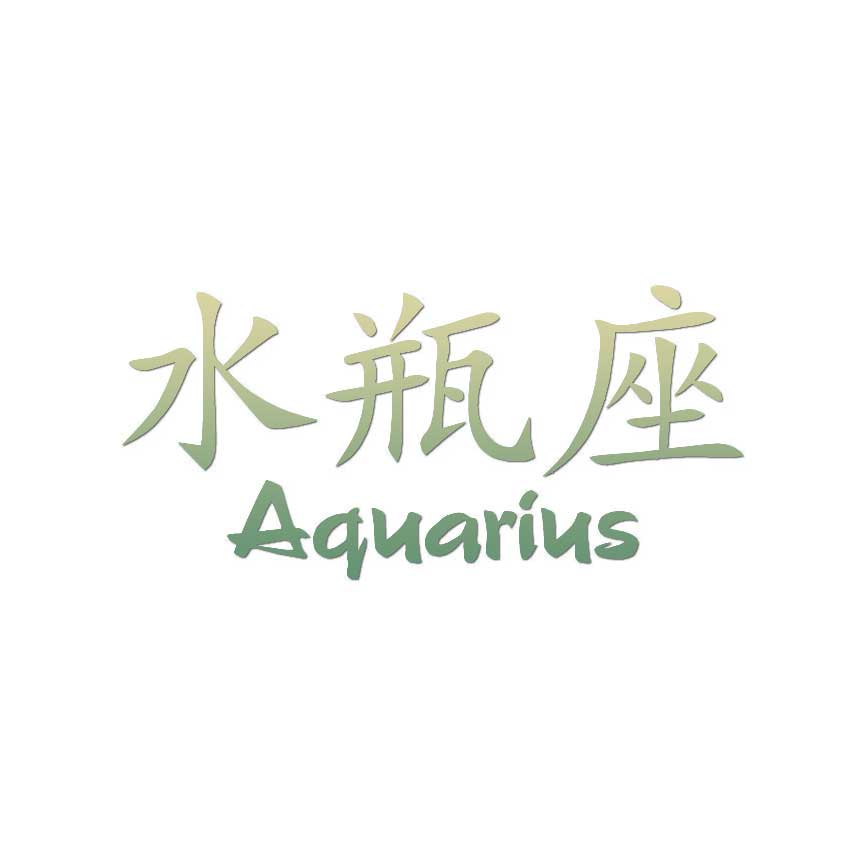 Aquarius Chinese Symbols - Decal Sticker - Multiple Patterns & Sizes ...