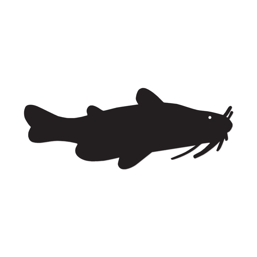 Catfish Fish - Vinyl Decal Sticker - Multiple Colors & Sizes - ebn3245 ...