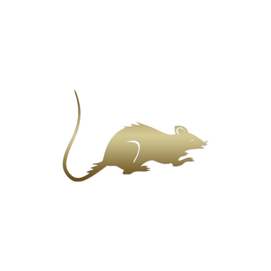 Rat Mouse - Vinyl Decal Sticker - Multiple Color & Sizes - ebn561 | eBay