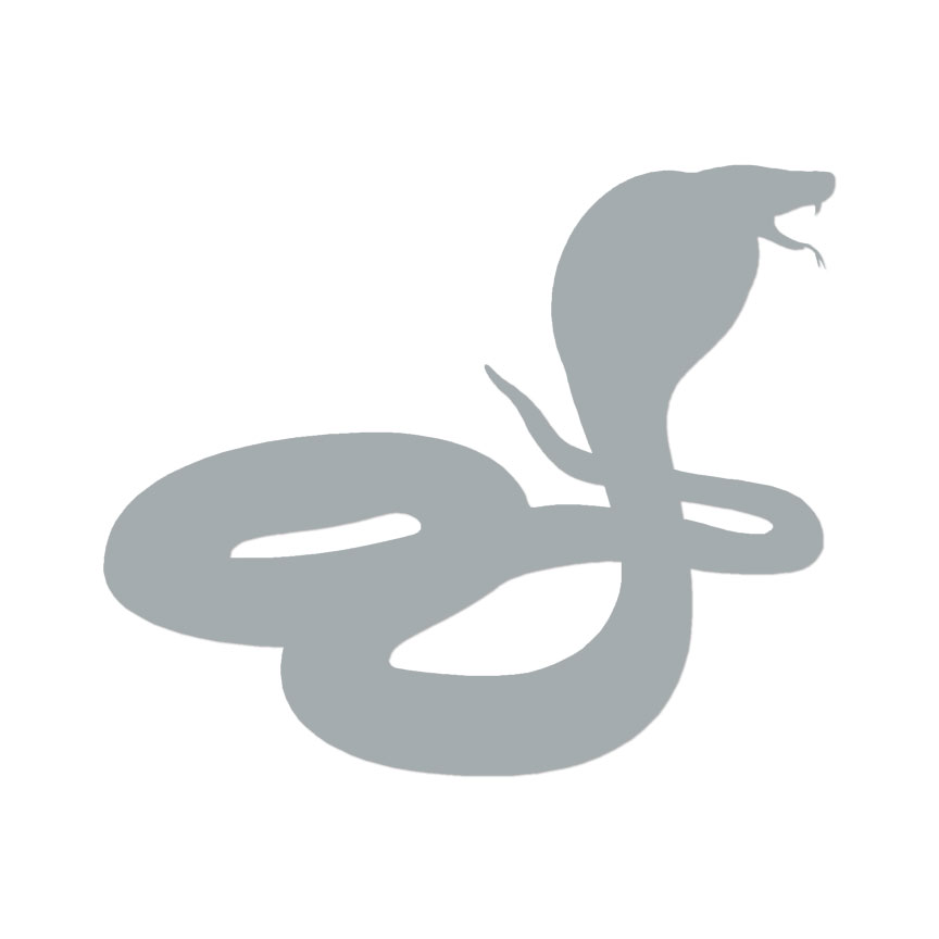 Cobra Snake - Vinyl Decal Sticker - Multiple Color & Sizes - ebn174 | eBay