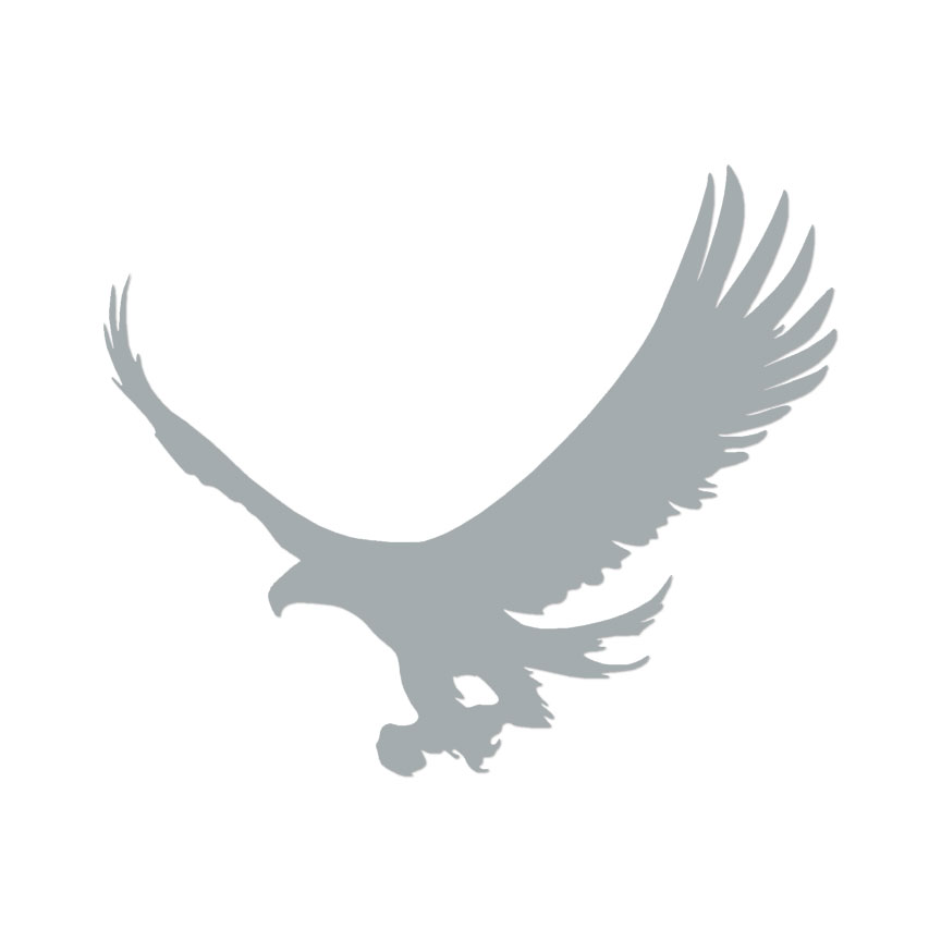 Taylor Hawkins Hawk Silhouette Vector Art Illustration Par Evand ...
