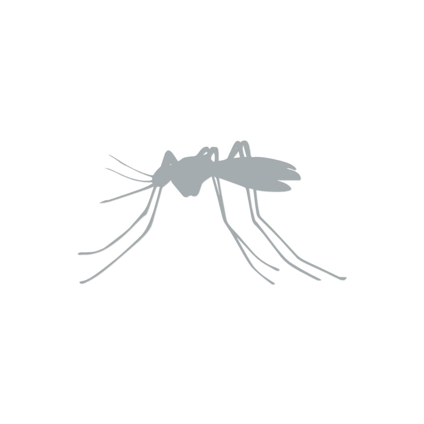 Mosquito Insect Pest - Vinyl Decal Sticker - Multiple Colors & Sizes ...
