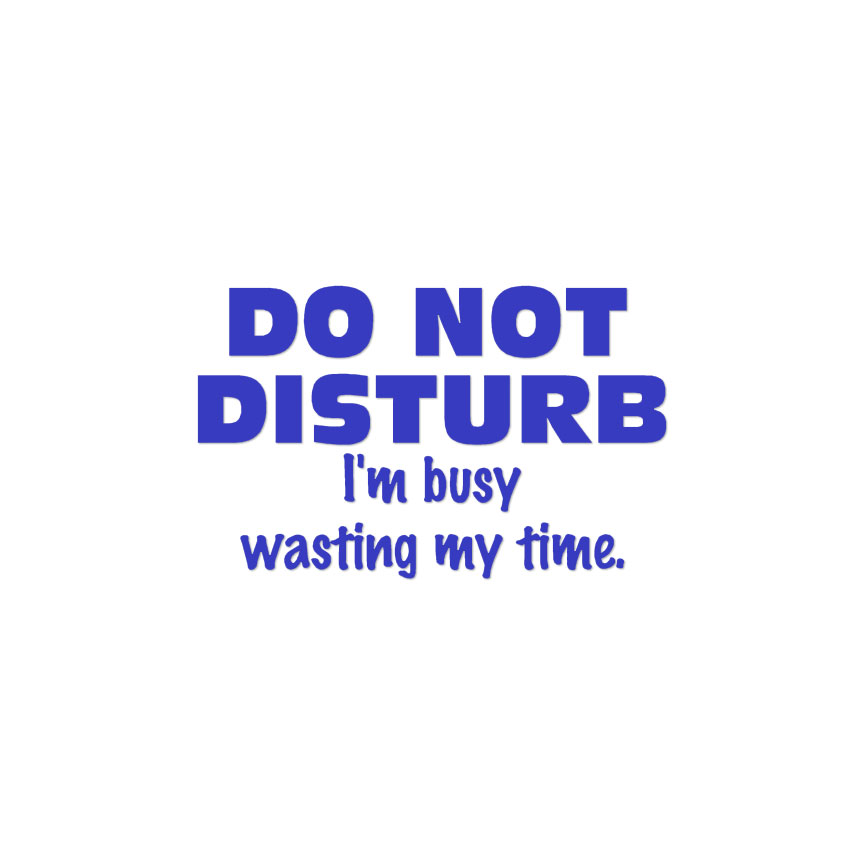 Do Not Disturb Wasting Time - Vinyl Decal - Multiple Color & Sizes ...