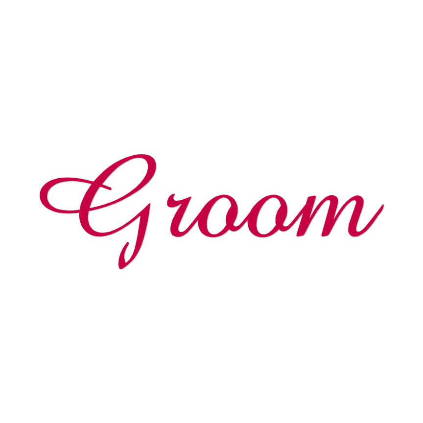 Groom - Cute Font - Vinyl Decal Sticker - Multiple Colors & Sizes ...