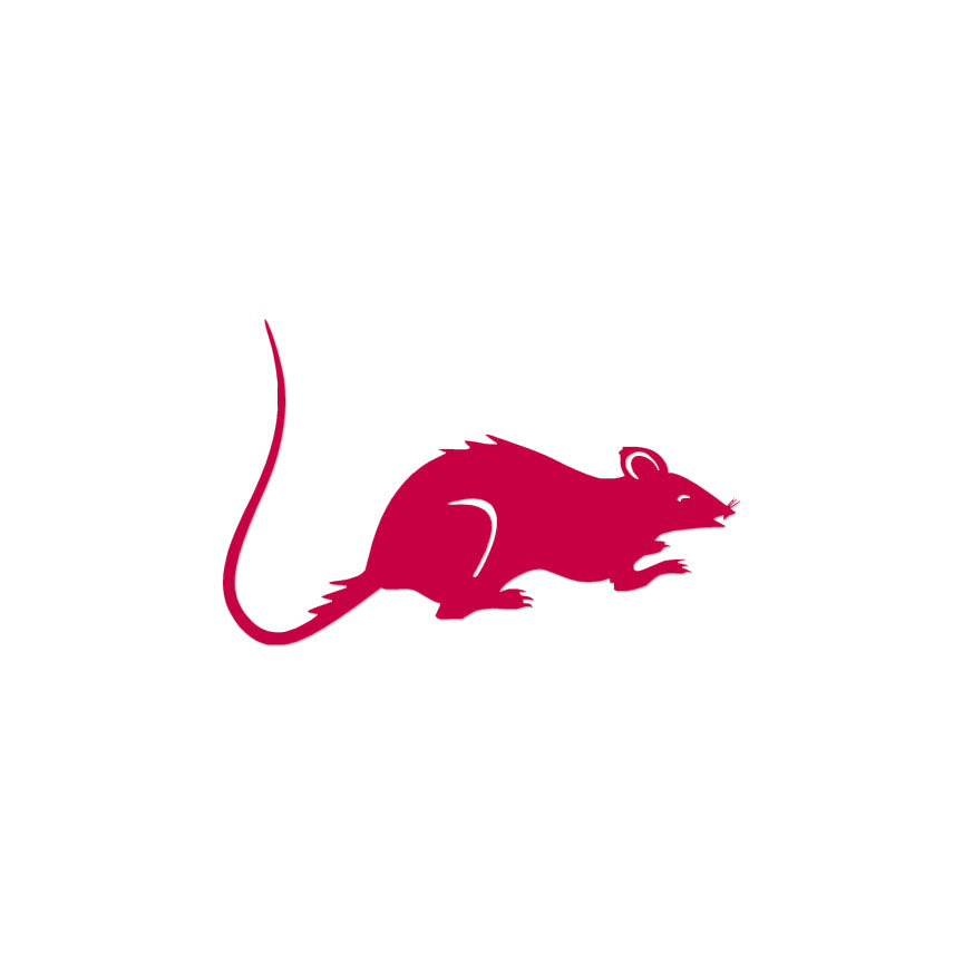 Rat Mouse - Vinyl Decal Sticker - Multiple Color & Sizes - ebn561 | eBay