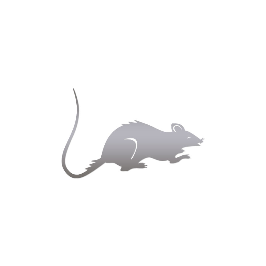 Rat Mouse - Vinyl Decal Sticker - Multiple Color & Sizes - ebn561 | eBay
