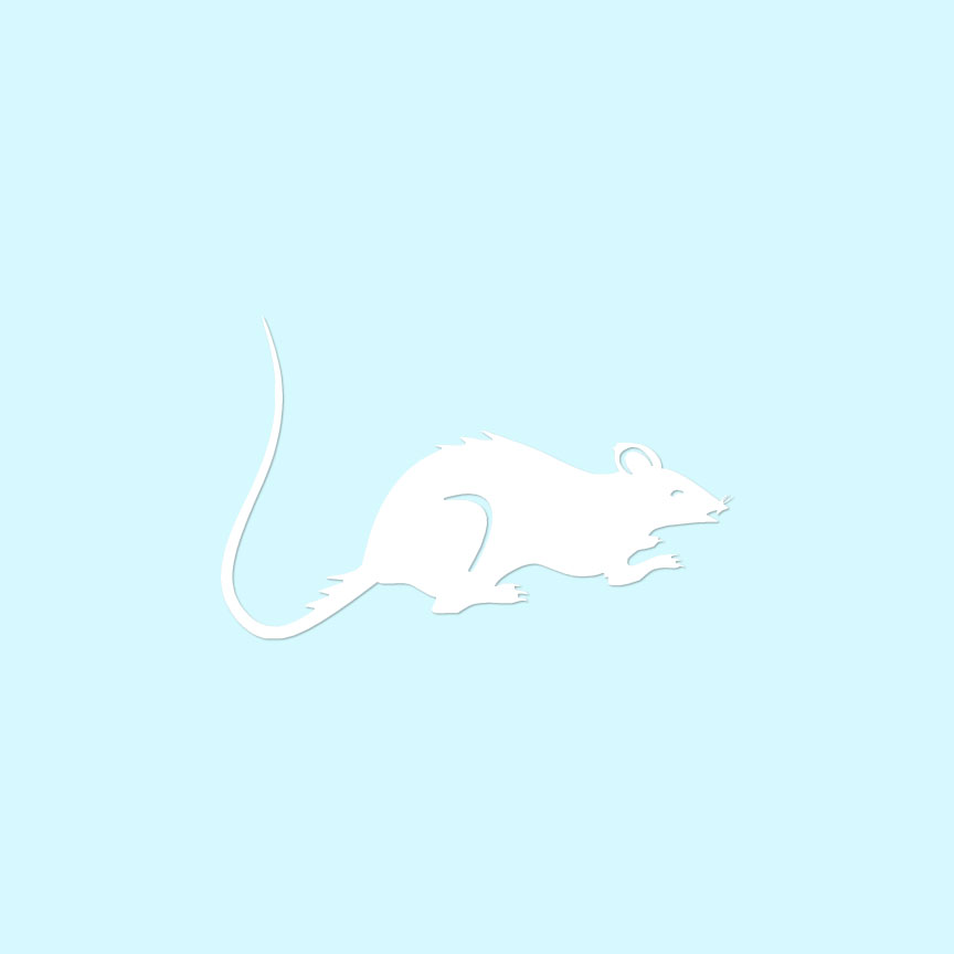 Rat Mouse - Vinyl Decal Sticker - Multiple Color & Sizes - ebn561 | eBay