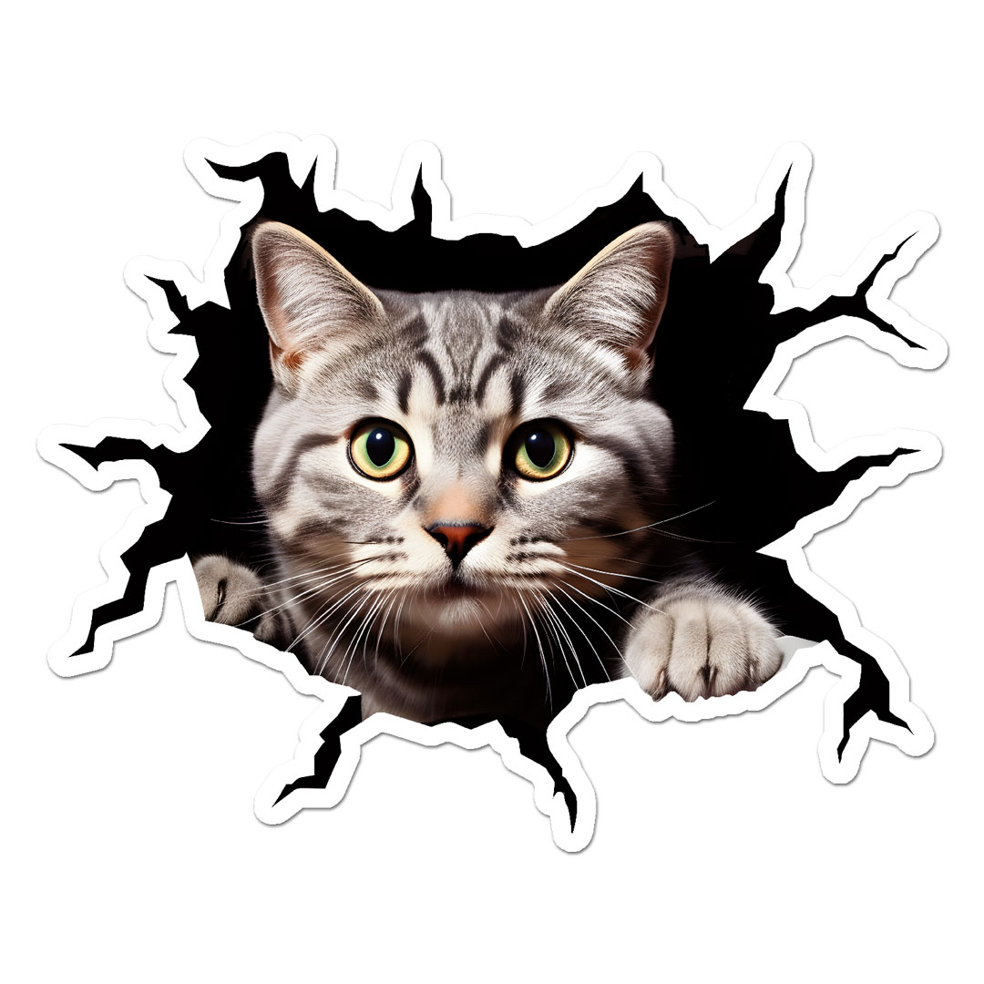 Peeking Cat Kitten Vinyl Decal Sticker - ebn11077 | eBay
