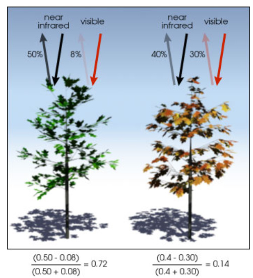 Spectral Indices in Remote Sensing: Meaning and Applications (An ...
