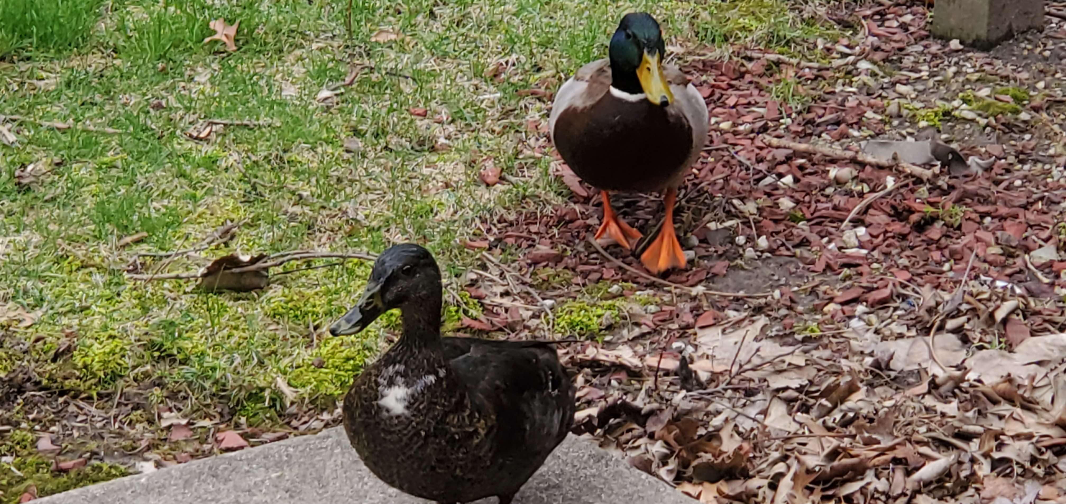 Benjamin Millard on Spatialnode