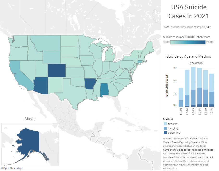 USA Suicide Statistics | Spatialnode