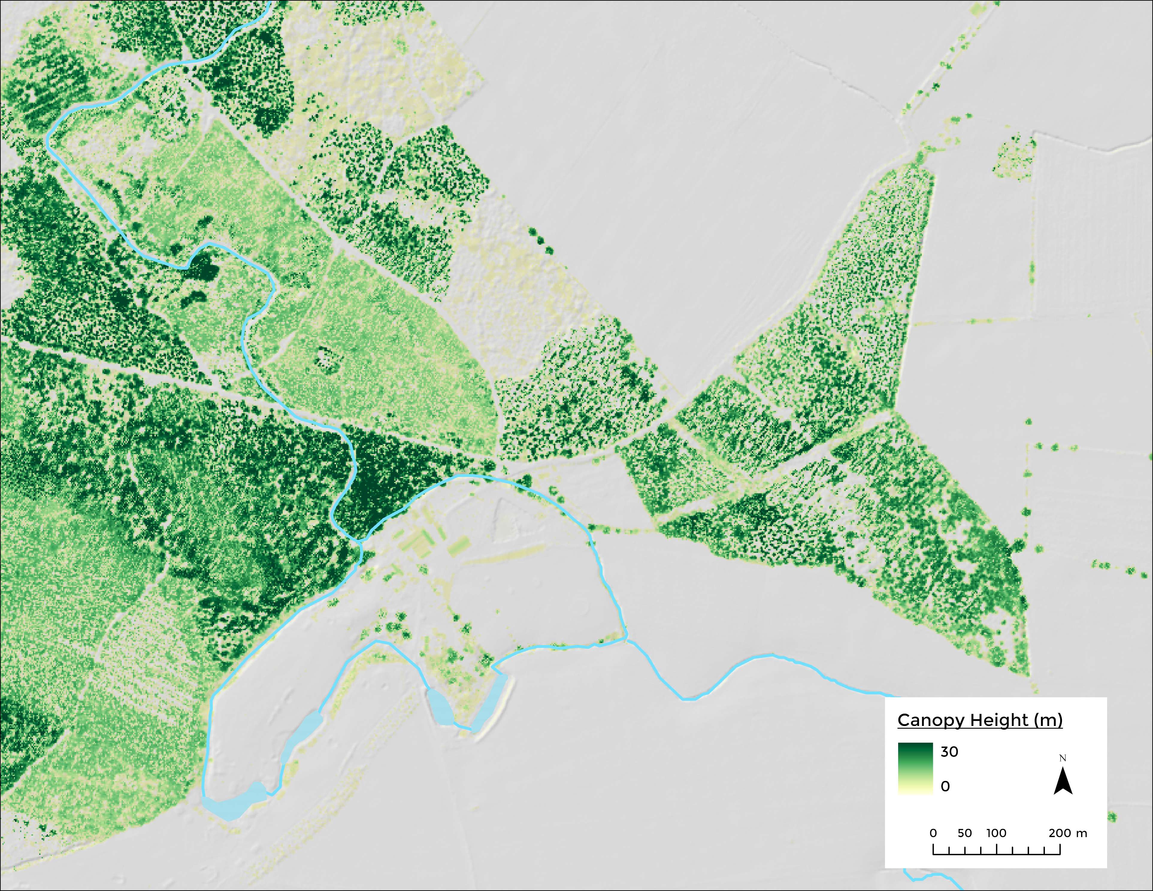 Canopy Height Model, Selby, UK | Spatialnode