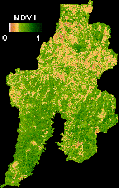 NDVI Time Series Visualization | Spatialnode
