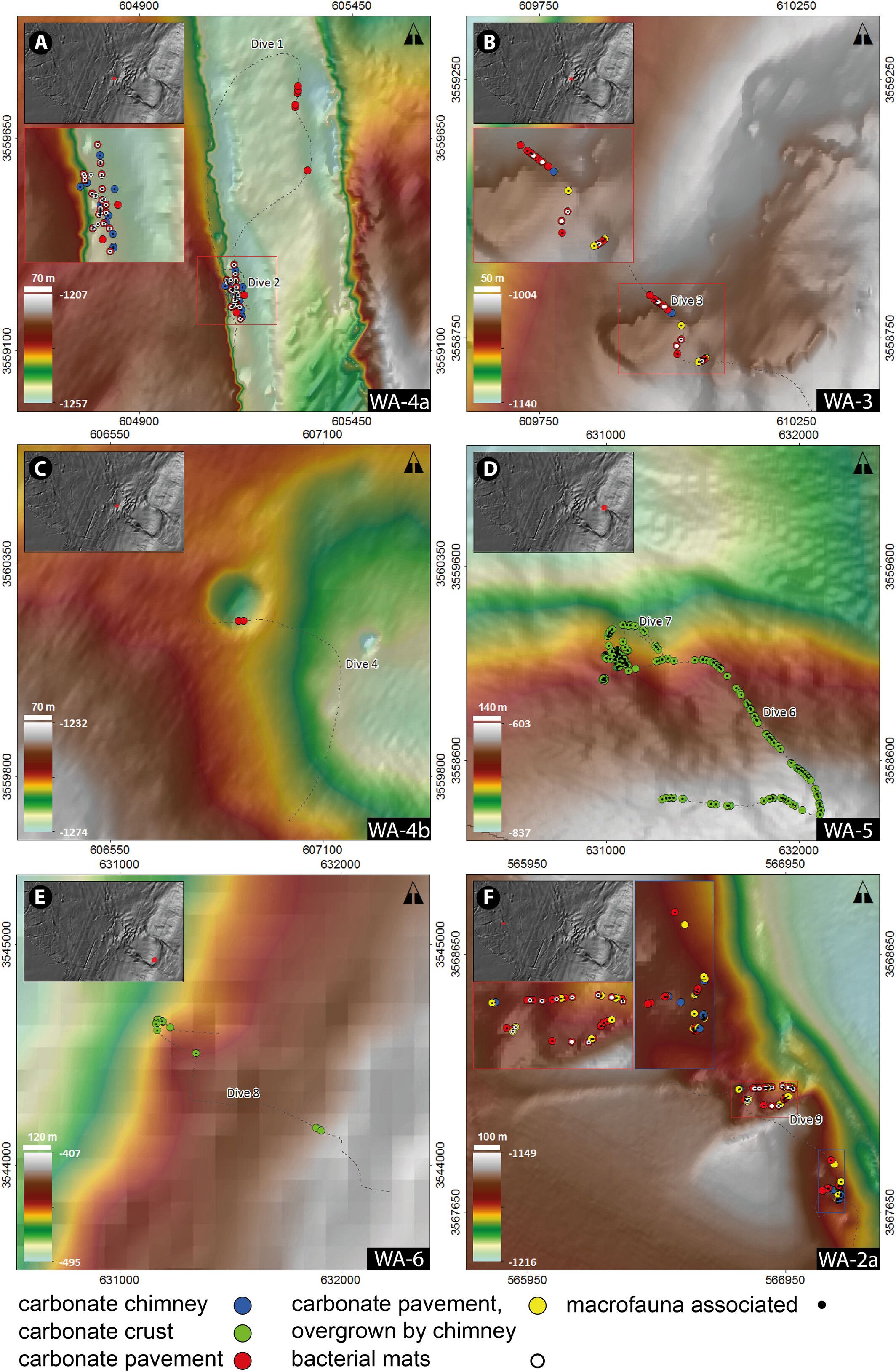 Carbonate Morphology | Spatialnode