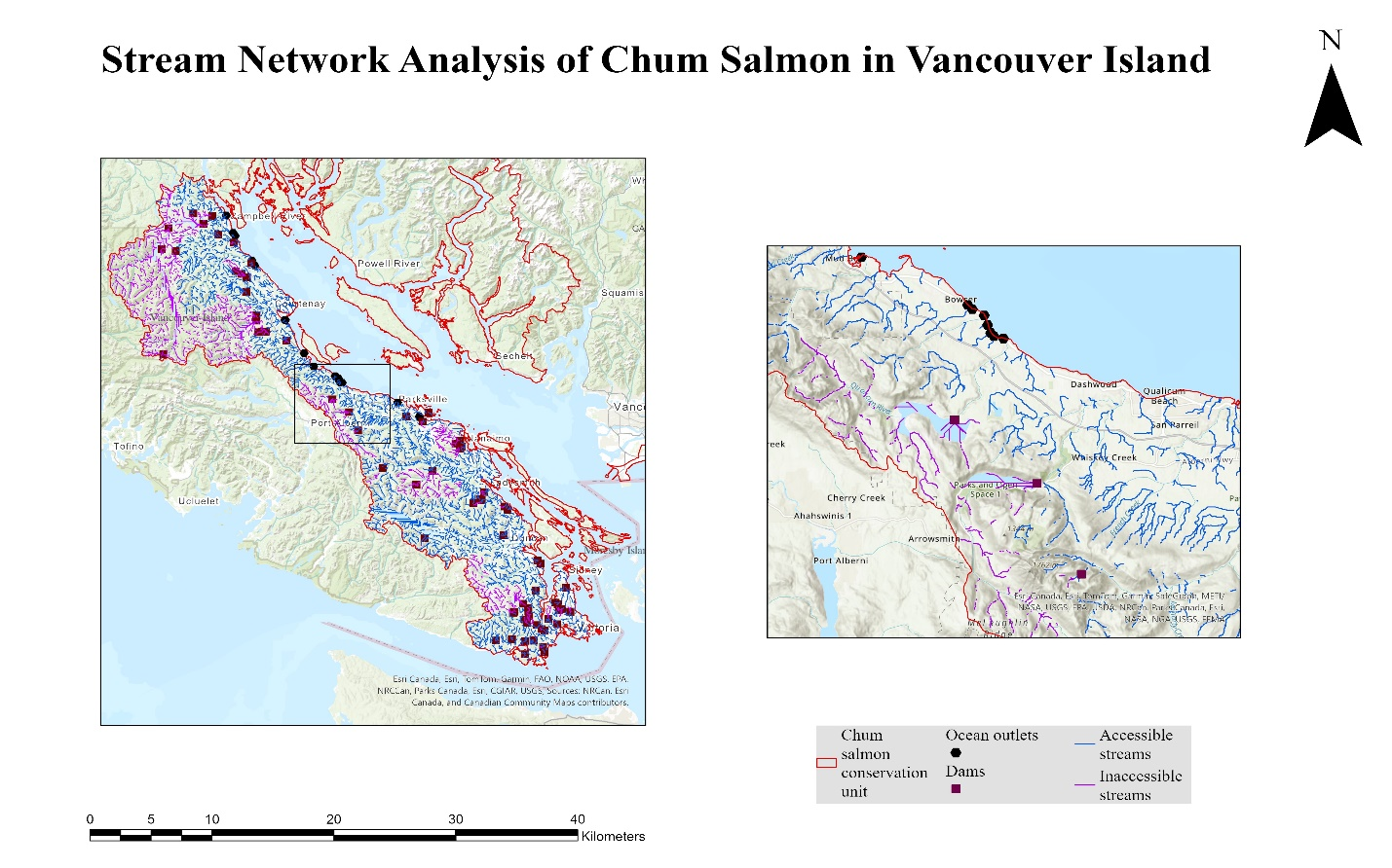 Salmon Stream Network Analysis | Spatialnode