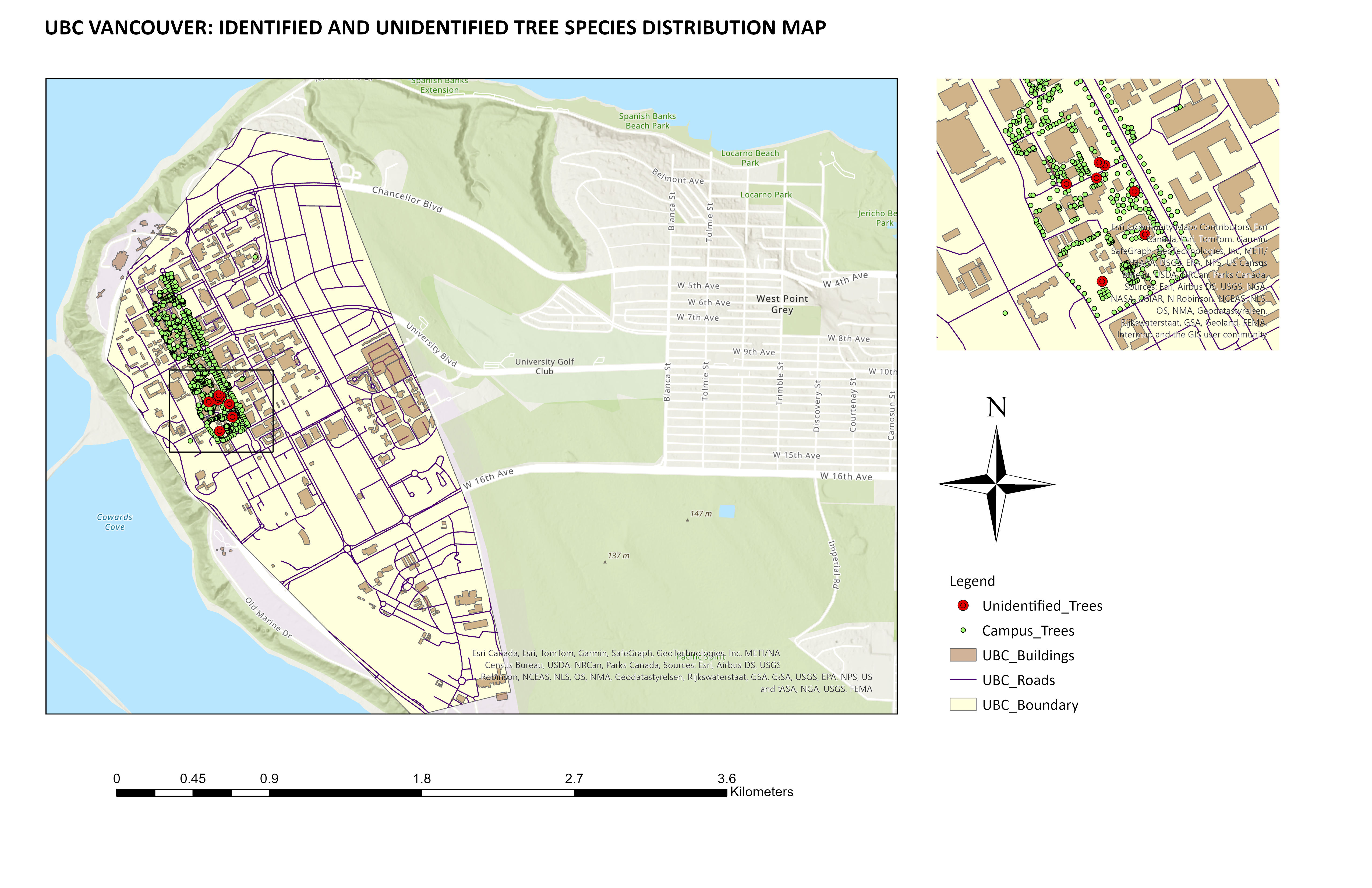 Tree Distribution Map UBC, Vancouver | Spatialnode