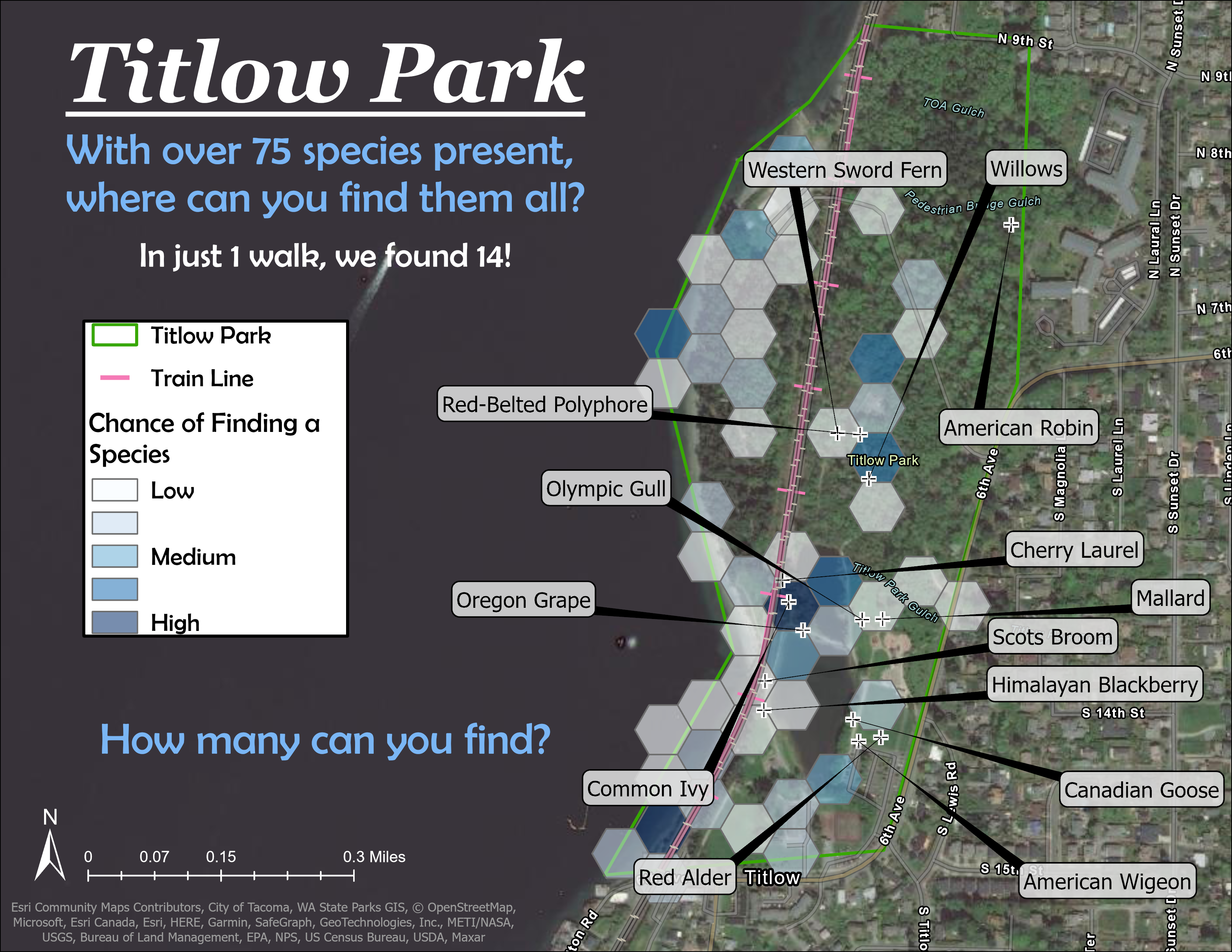 Gamification of Biodiversity Tracking | Spatialnode