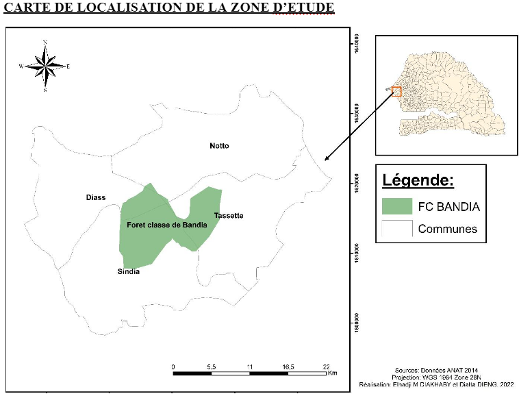 Bandia | Spatialnode