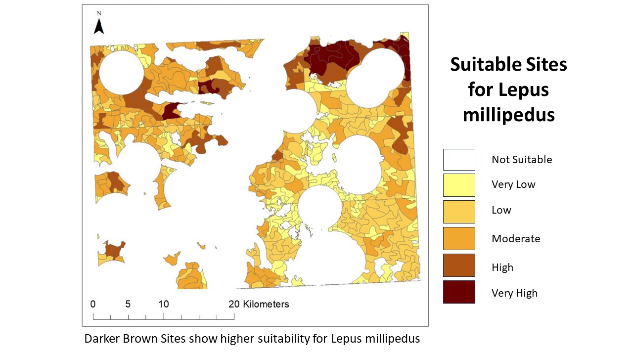 Habitat Suitability for Species | Spatialnode