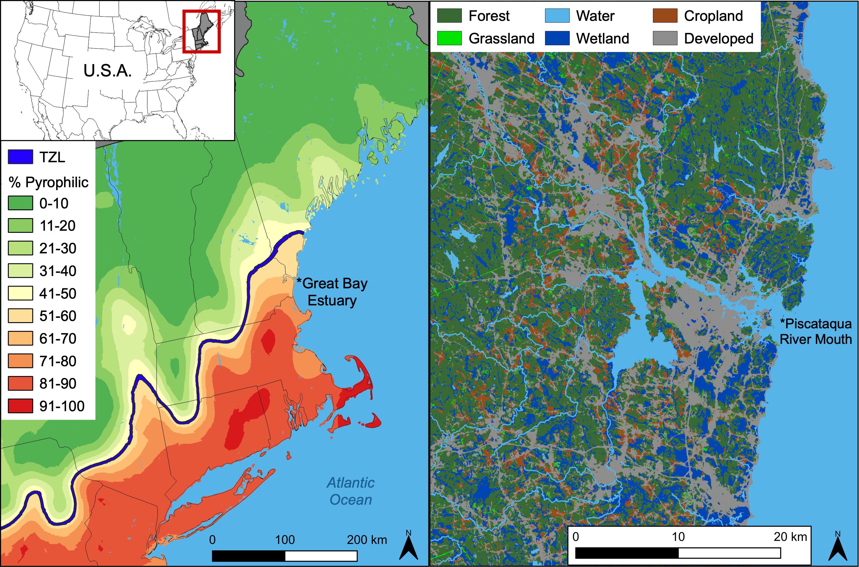 Historical Forests and Modern Land Cover | Spatialnode