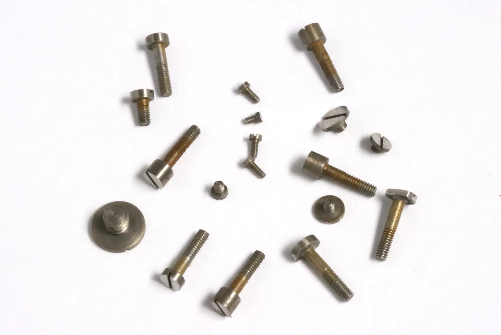 Elgin grade 240 B.W. Raymond movement screws | Speedtimerkollektion