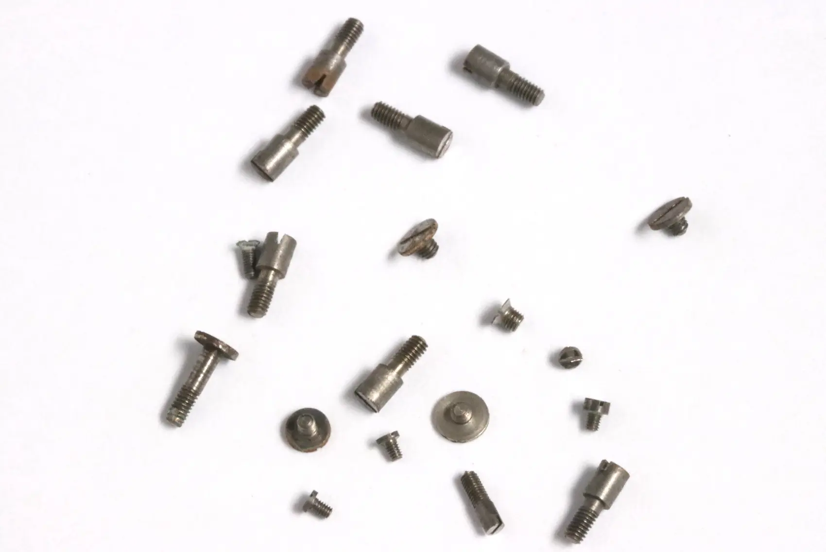 Waltham grade 1225 movement screws | Speedtimerkollektion