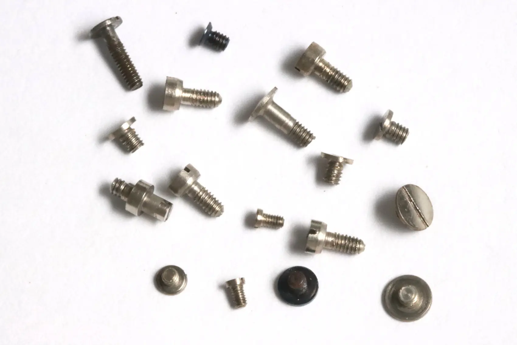 New York standard grade 1553 movement screws | Speedtimerkollektion