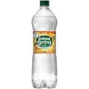 Diet info for Poland Spring Natural Spring Water Orange Sparkling Water ...