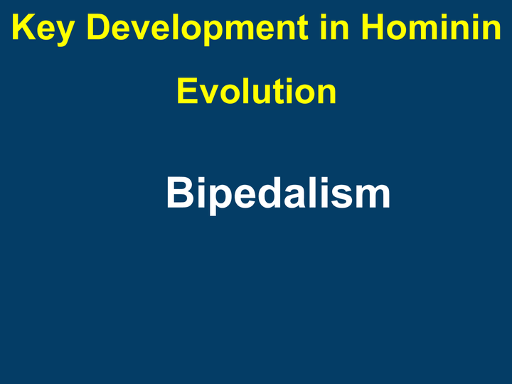 Human Evolution Part 1 - Presentious