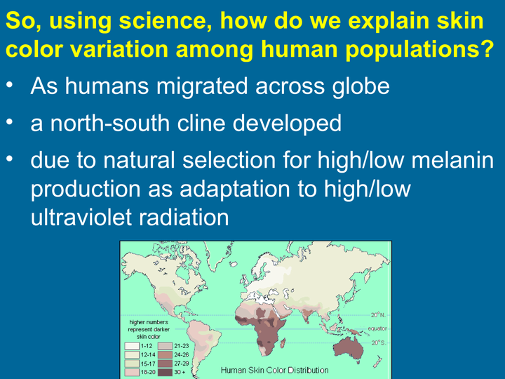 Human Biological Variation & Race - Presentious