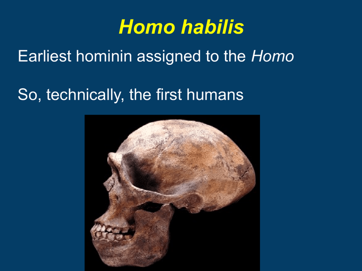 Human Evolution Part 1 - Presentious