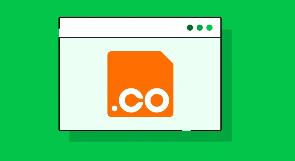 Understanding the .CO Domain: Your Comprehensive Guide | Blog | Stablepoint